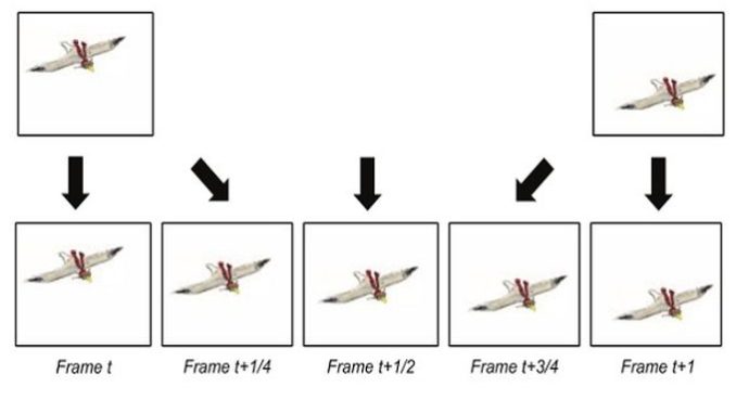 Features of settings for Motion-Compensated Frame Interpolation when ...