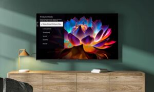 Roku Pro Series 2025 TVs Review - The Appliances Reviews
